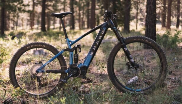 Haro Bikes: sus ambiciosos objetivos de expansión para conquistar toda ...